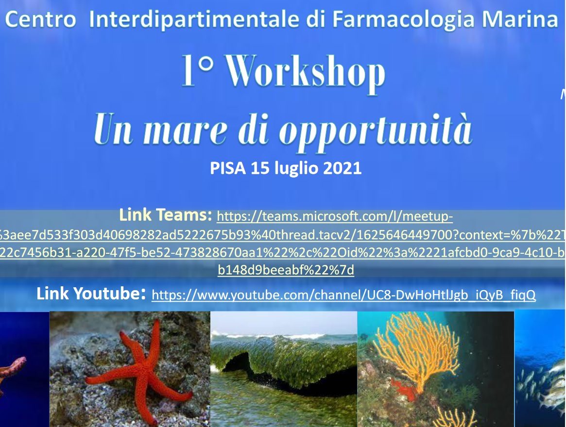 Un mare di opportunità-workshop-seminario - Dipartimento di Farmacia